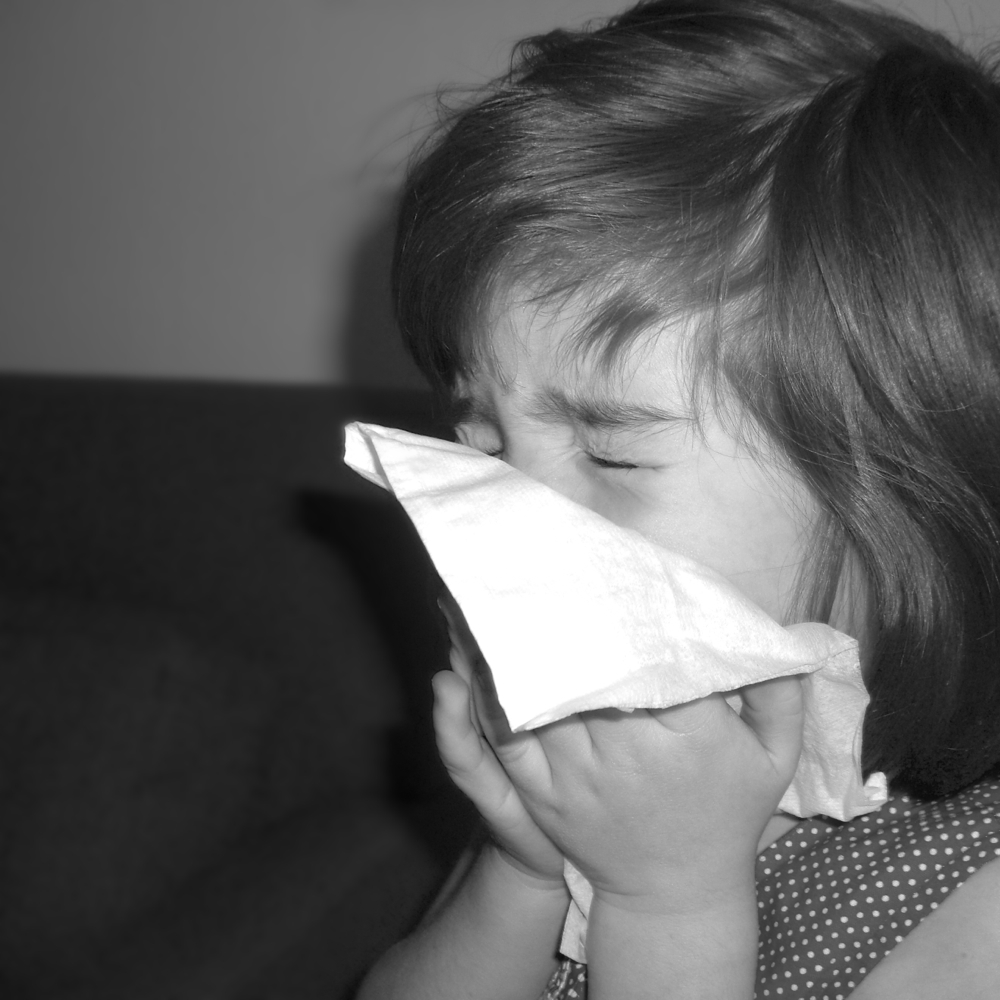 Sniffles - The Caterpillar Years