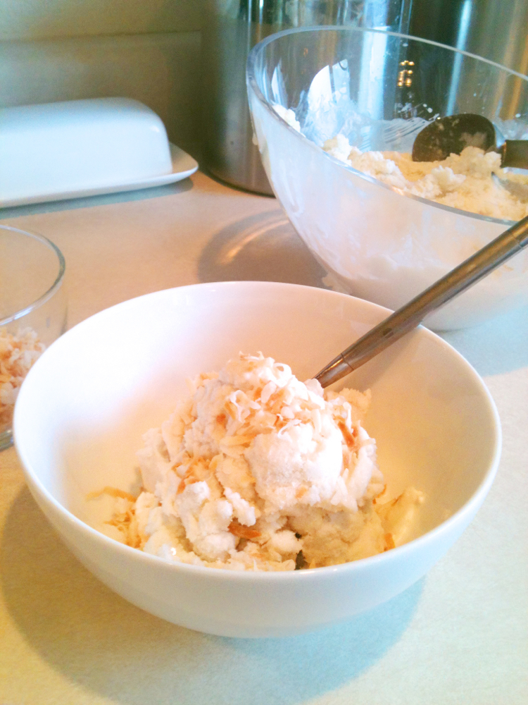 Toasted Coconut Snow Ice Cream - The Caterpillar Years